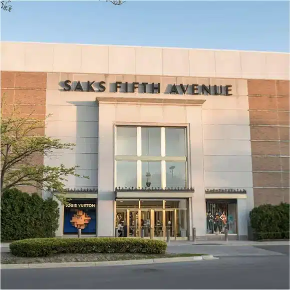 Insights - Wild Tech